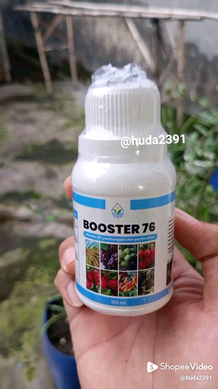 Pupuk Booster 76 Pelebat buah | Shopee Video Indonesia